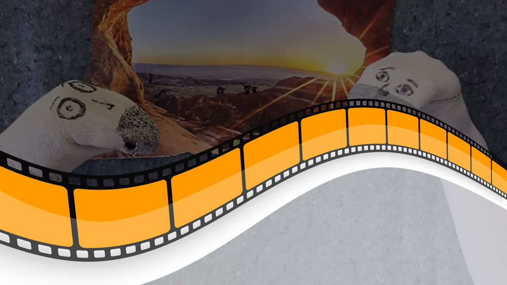 ORS Engine Conversion Harness Explained - Tech Info - Off Road Solutions